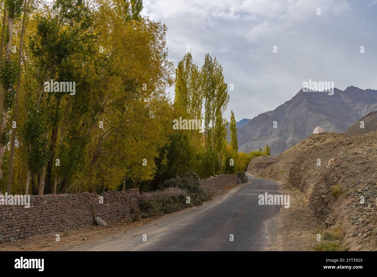 A road passing through high altitude mountains and trees in Ladakh ...