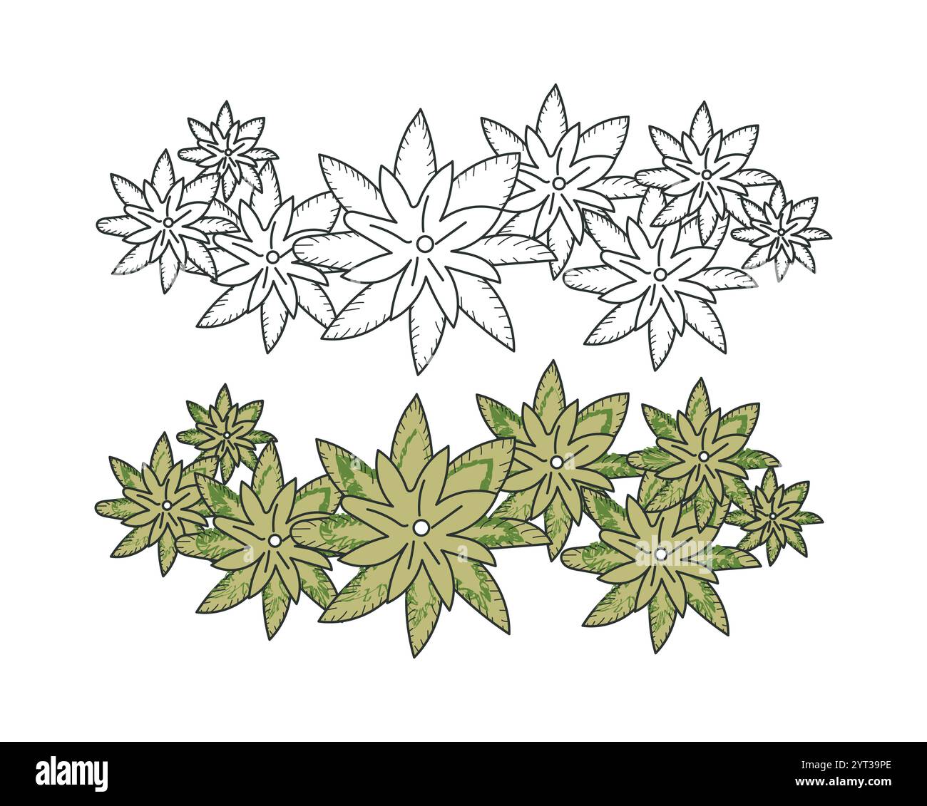 Group trees architectural top view. Bushes and trees with green leaves ...