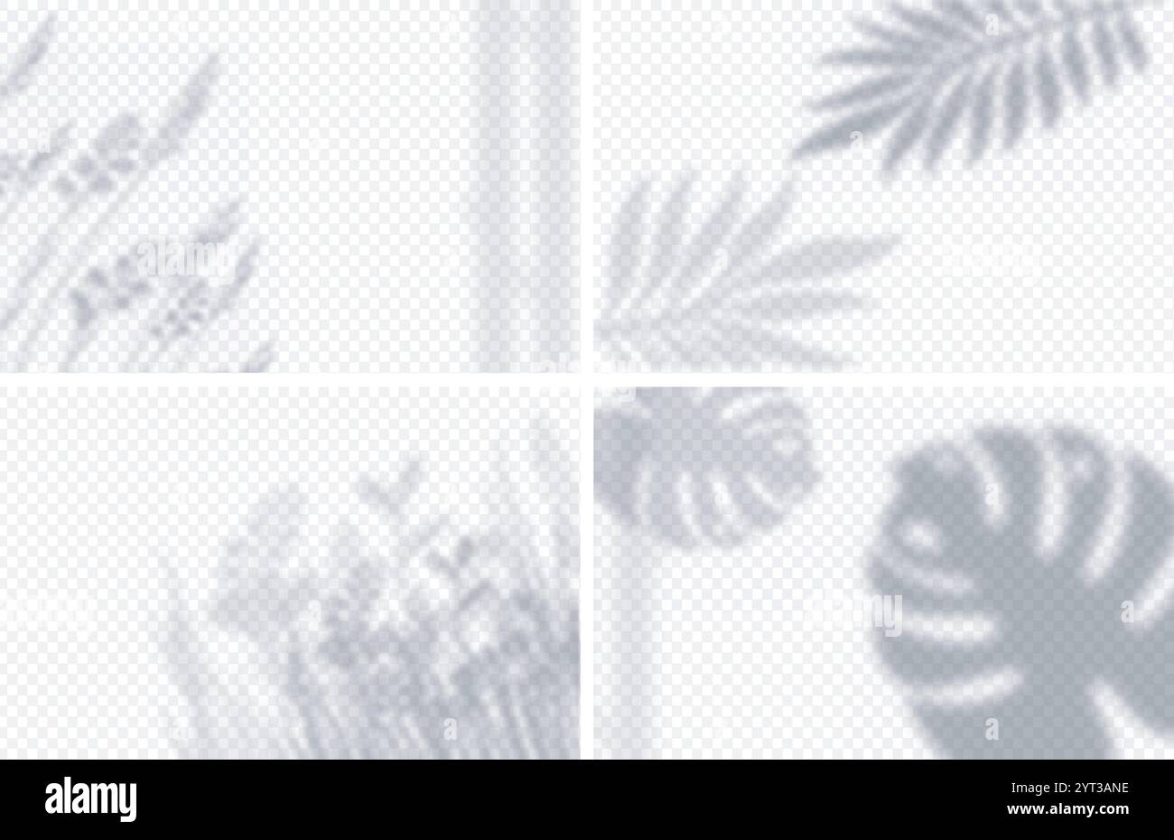 Set of shadow effects. Shadows from tropical and exotic leaves on wall ...