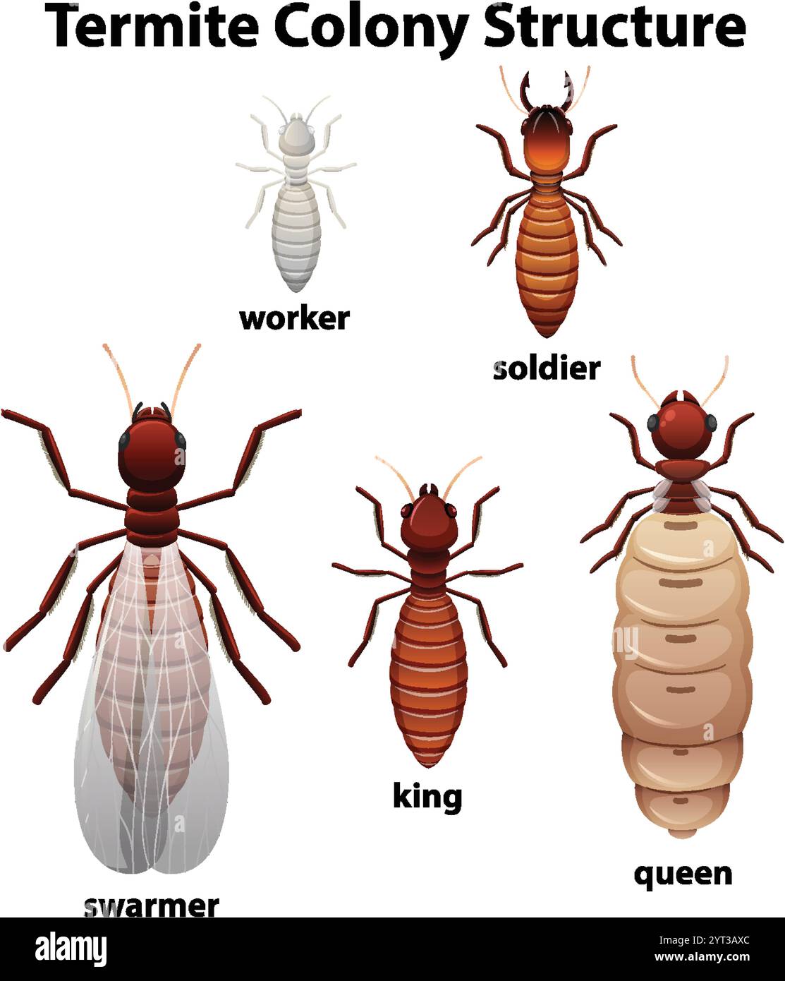 Ecosystem roles hi-res stock photography and images - Alamy