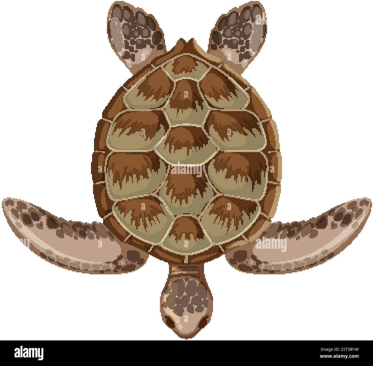 Sea turtle preservation Stock Vector Images - Alamy