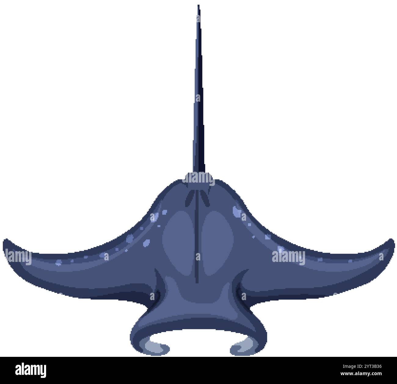 Illustration of a manta ray from above Stock Vector Image & Art - Alamy