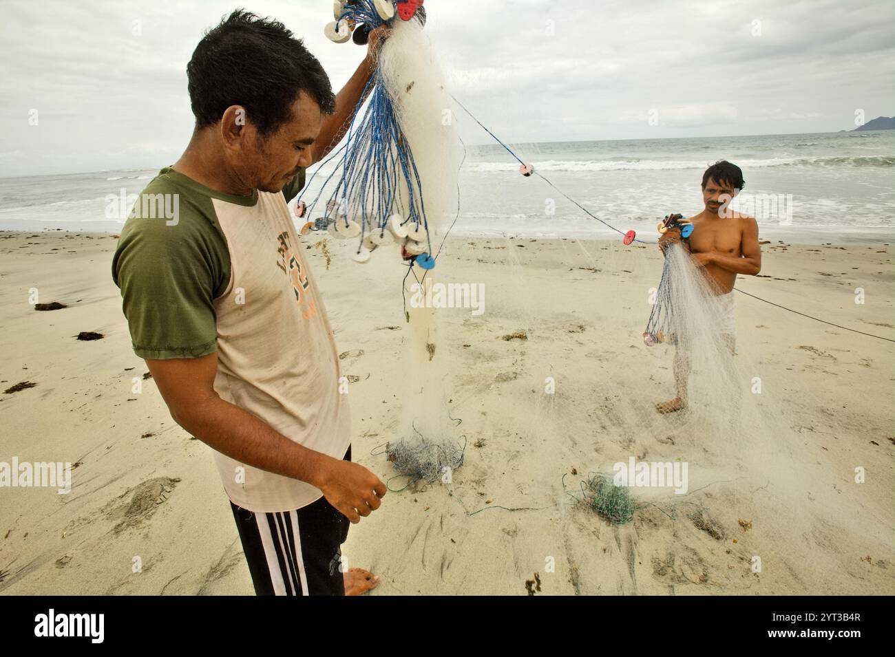 Marine ecosystem studies hi-res stock photography and images - Alamy