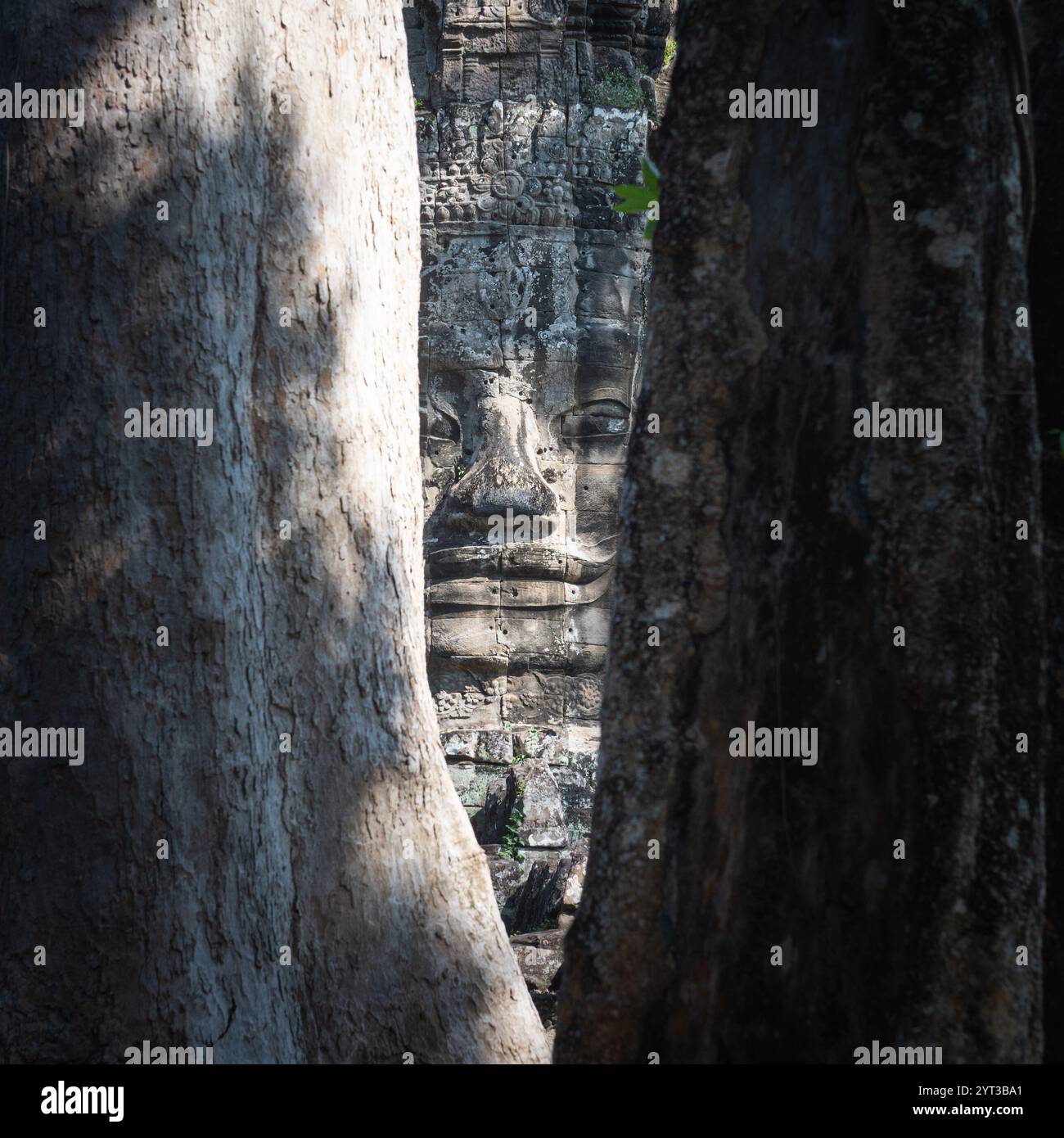 Hidden statue guarding an entrance to Angkor Stock Photo - Alamy