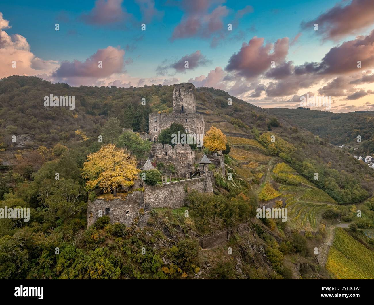 Aerial view of Gutenfels medieval knight castle above the Rhine river ...