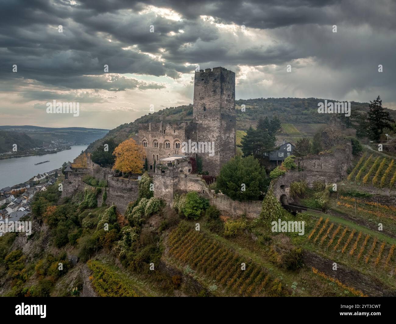 Aerial view of Gutenfels medieval knight castle above the Rhine river ...