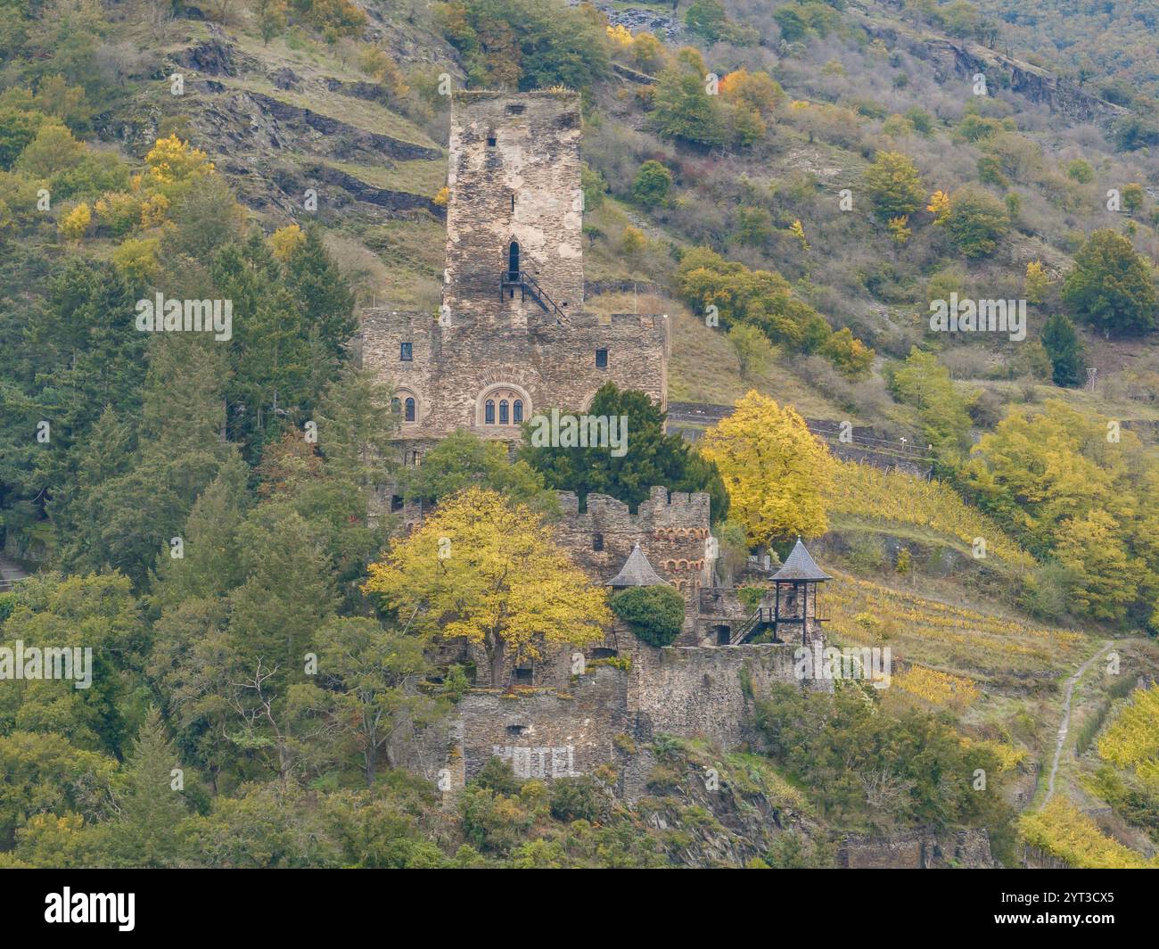 Aerial view of Gutenfels medieval knight castle above the Rhine river ...