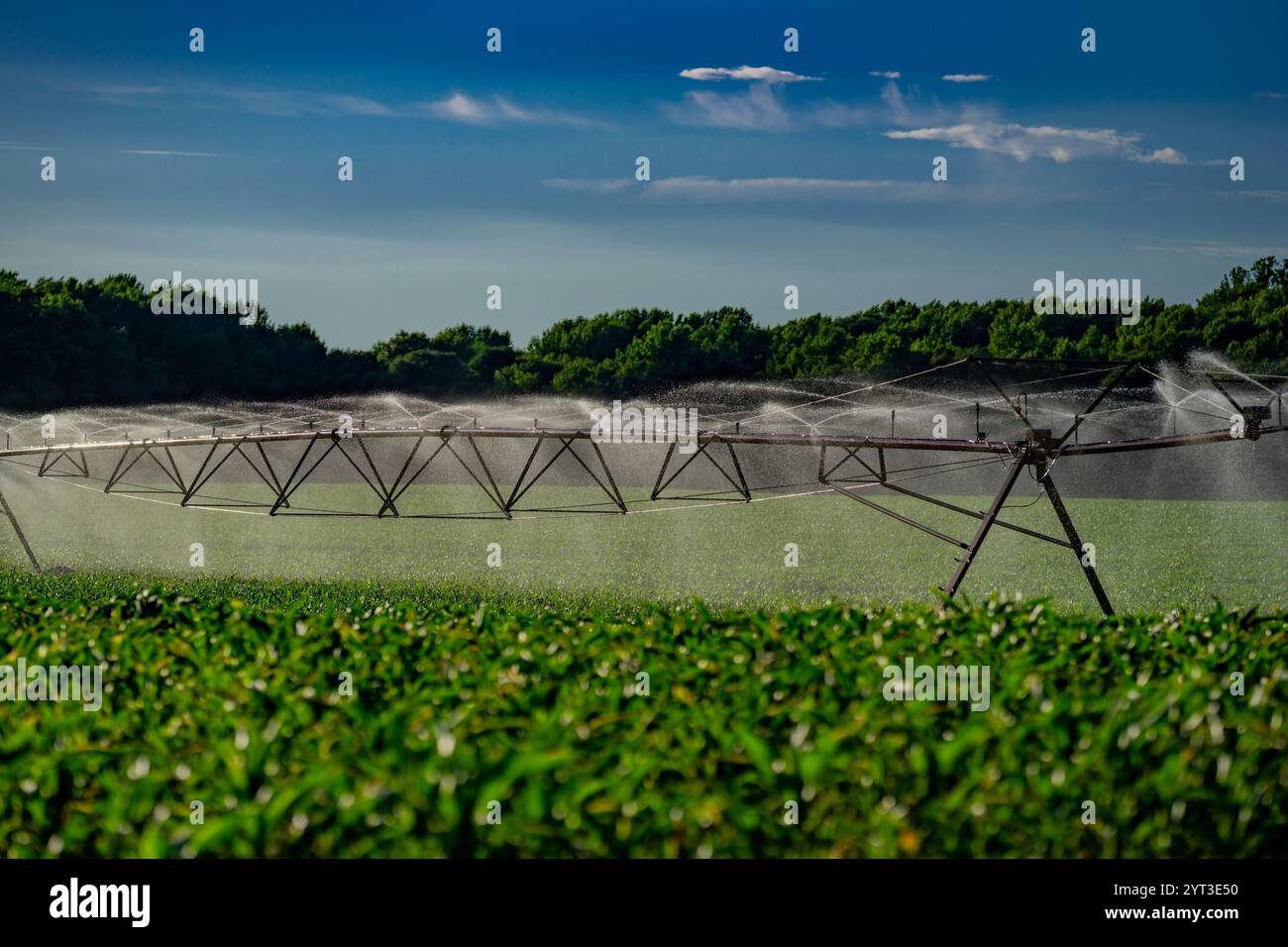 Irrigation system used to water plants on a farm. Sunset, irrigation ...