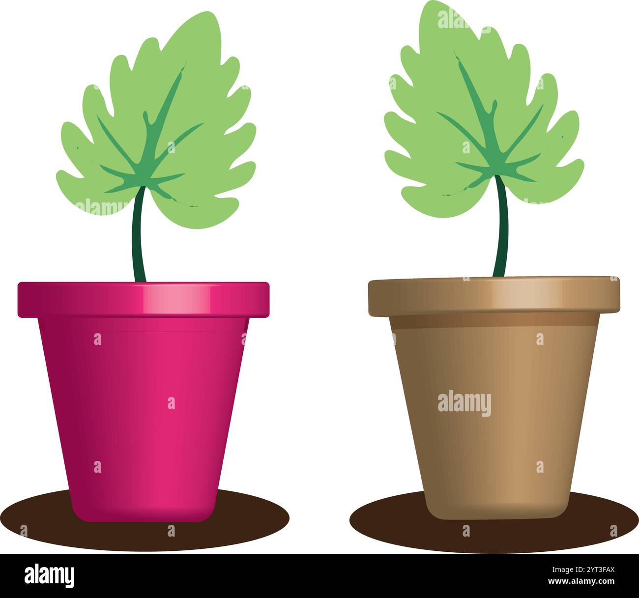 Beautiful Plant Vector Design Stock Vector Image & Art - Alamy