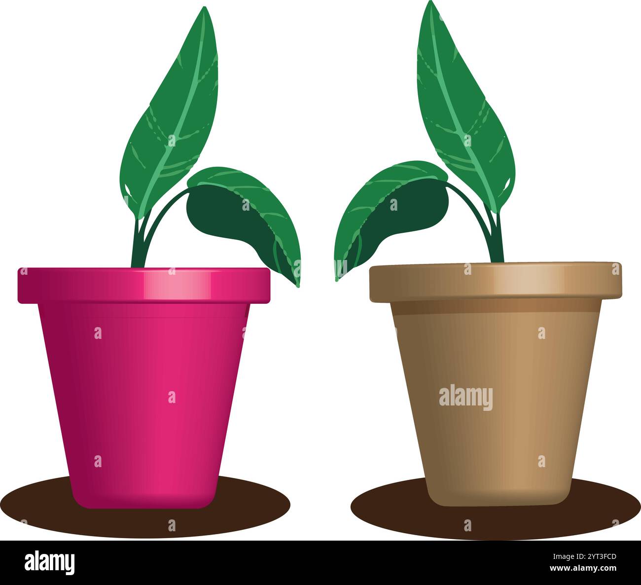 Beautiful Plants Design Stock Vector Image & Art - Alamy