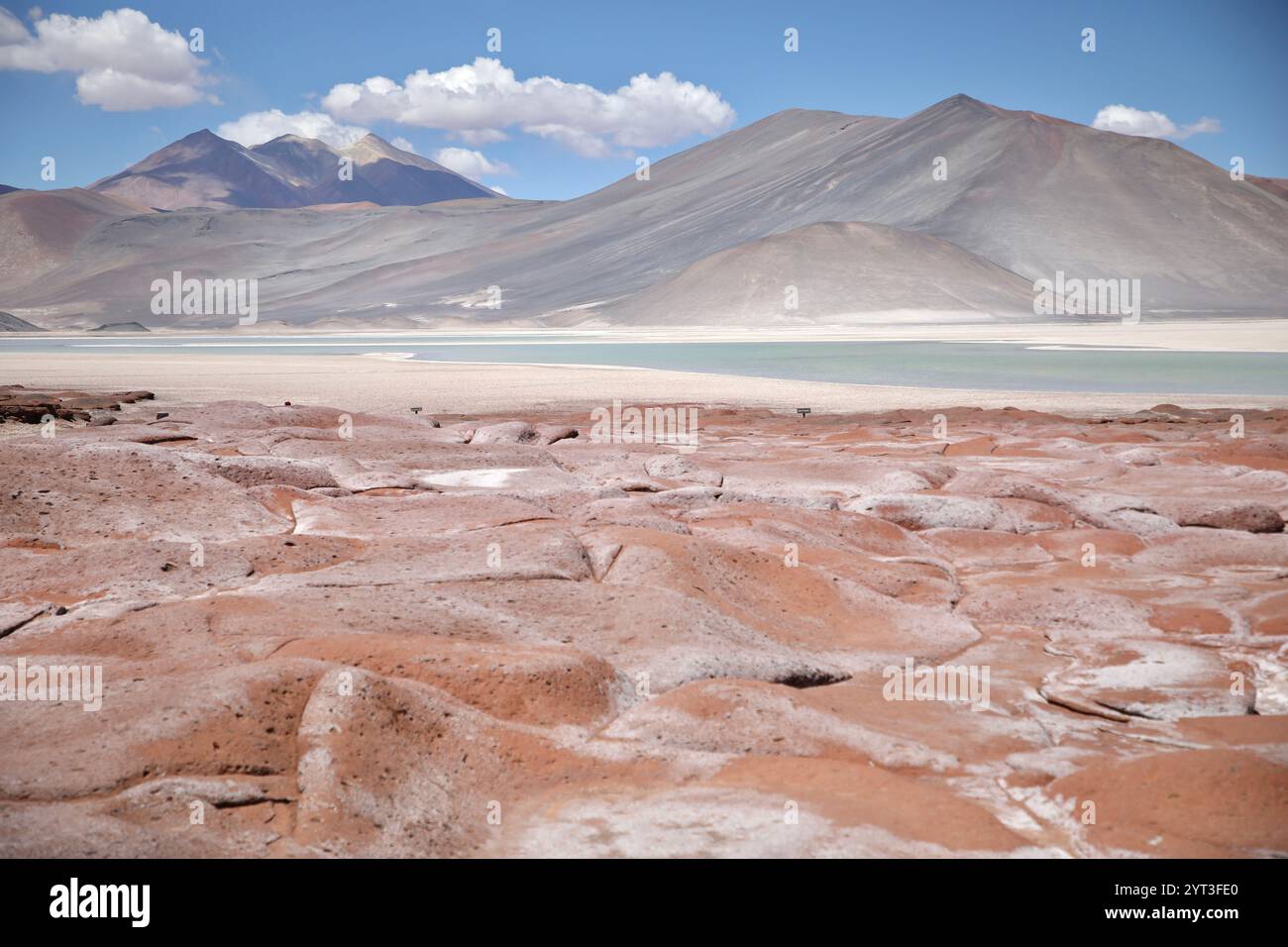 The Talar salar, a salt desert, and the Piedra Rojas (red stones) are ...