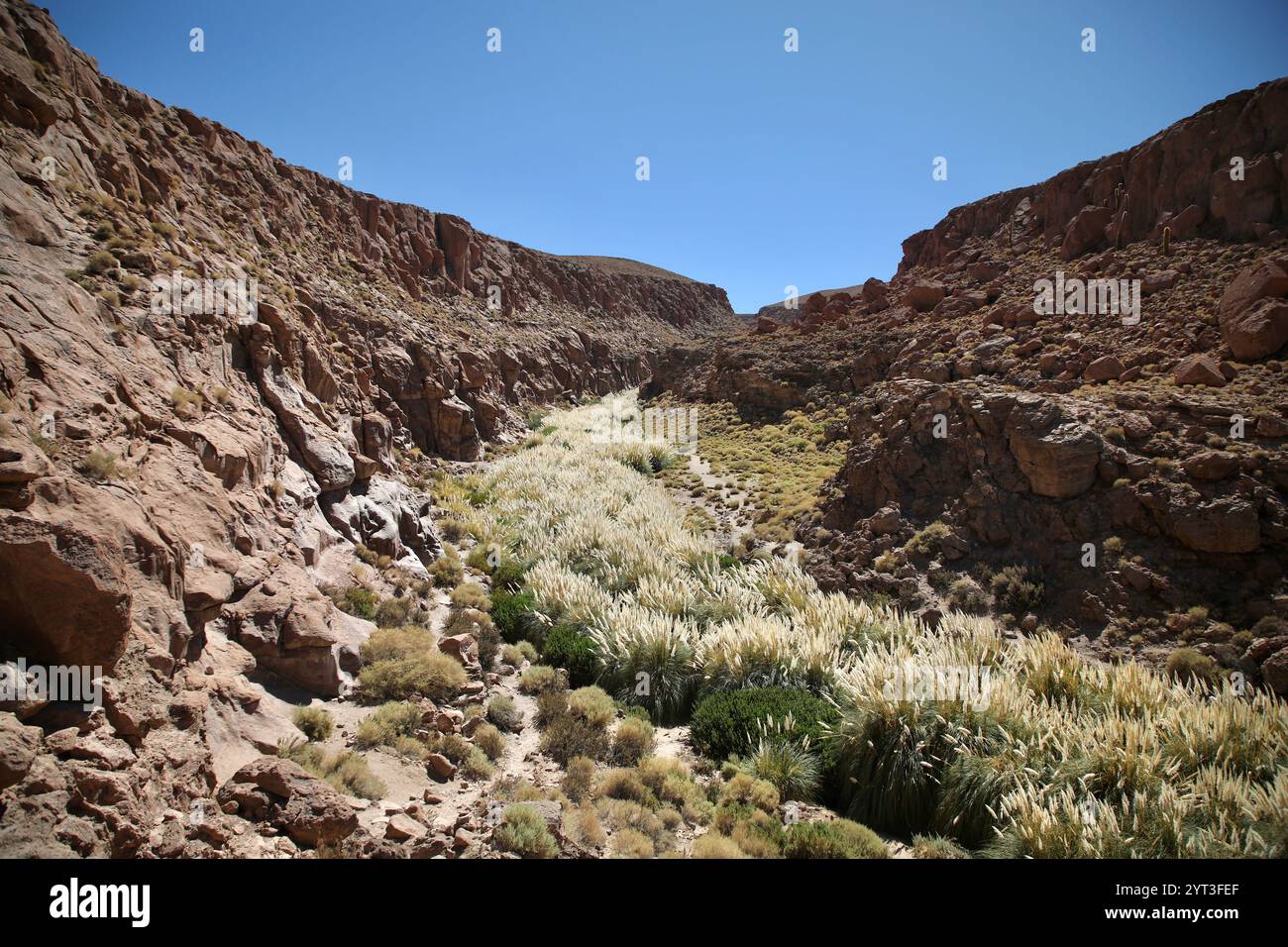 Puritama Canyon, in the San Pedro de Atacama region of Chile, is ...