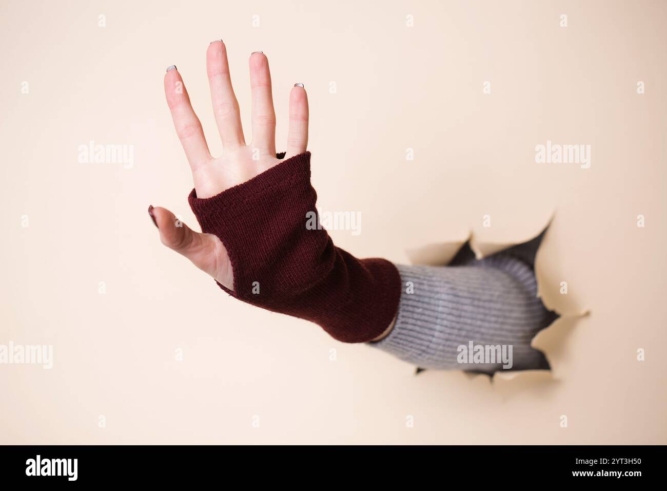 A woman's hand in a knitted burgundy mitten shows a gesture. The hand ...