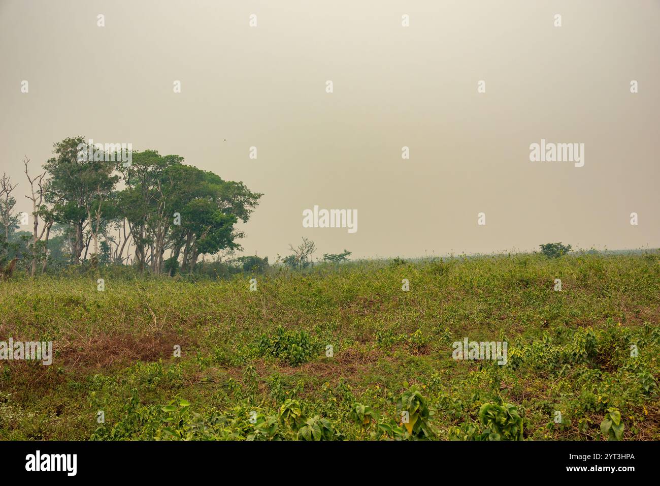 Smoke fro farmer lit fires fill sky and surrounds the landscape in the ...
