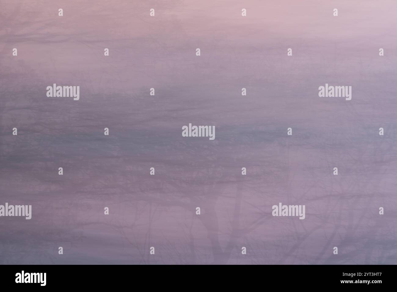 Abstract blurred impressionist tree faded behind pink and blue ...