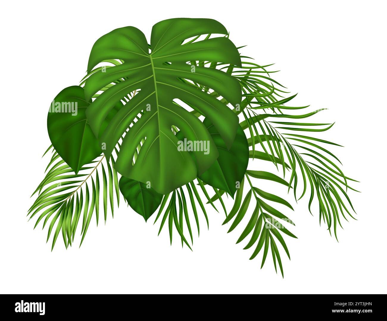 Tropical exotic realistic palm leaves. Suitable for nature concept ...