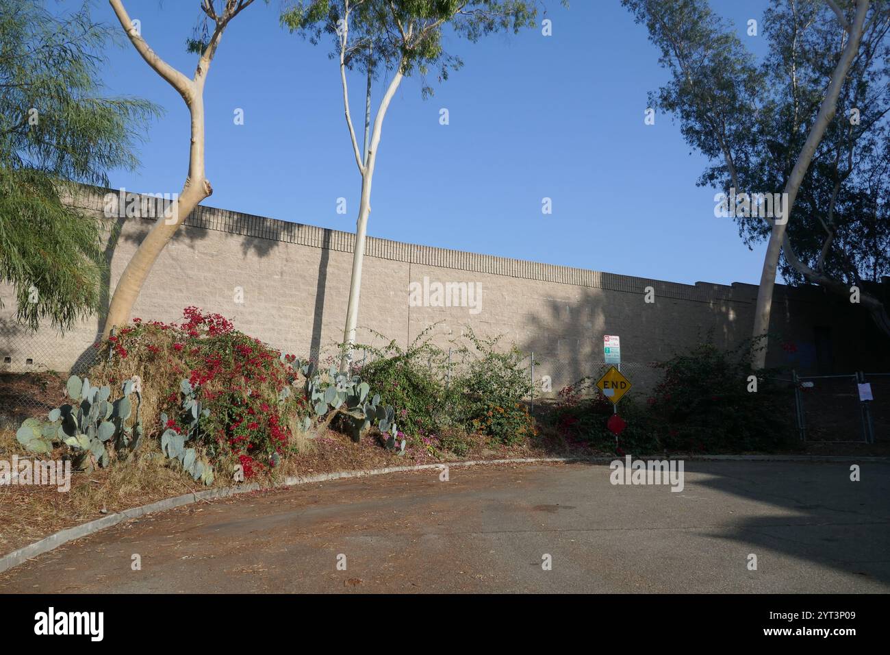 Los Angeles, California, USA 5th December 2024 Actress Bodil Rosing ...