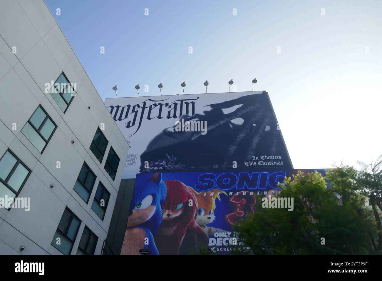 Los Angeles, California, USA 5th December 2024 Nosferatu Billboard and ...