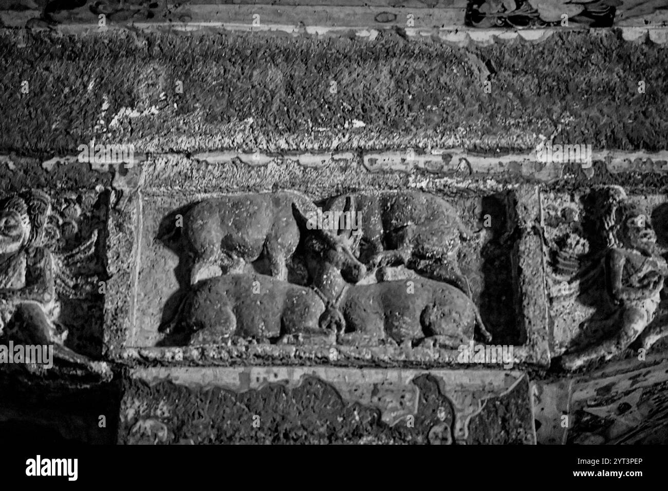 Relief carving of four deer with shared one head on the wall of Ajanta ...