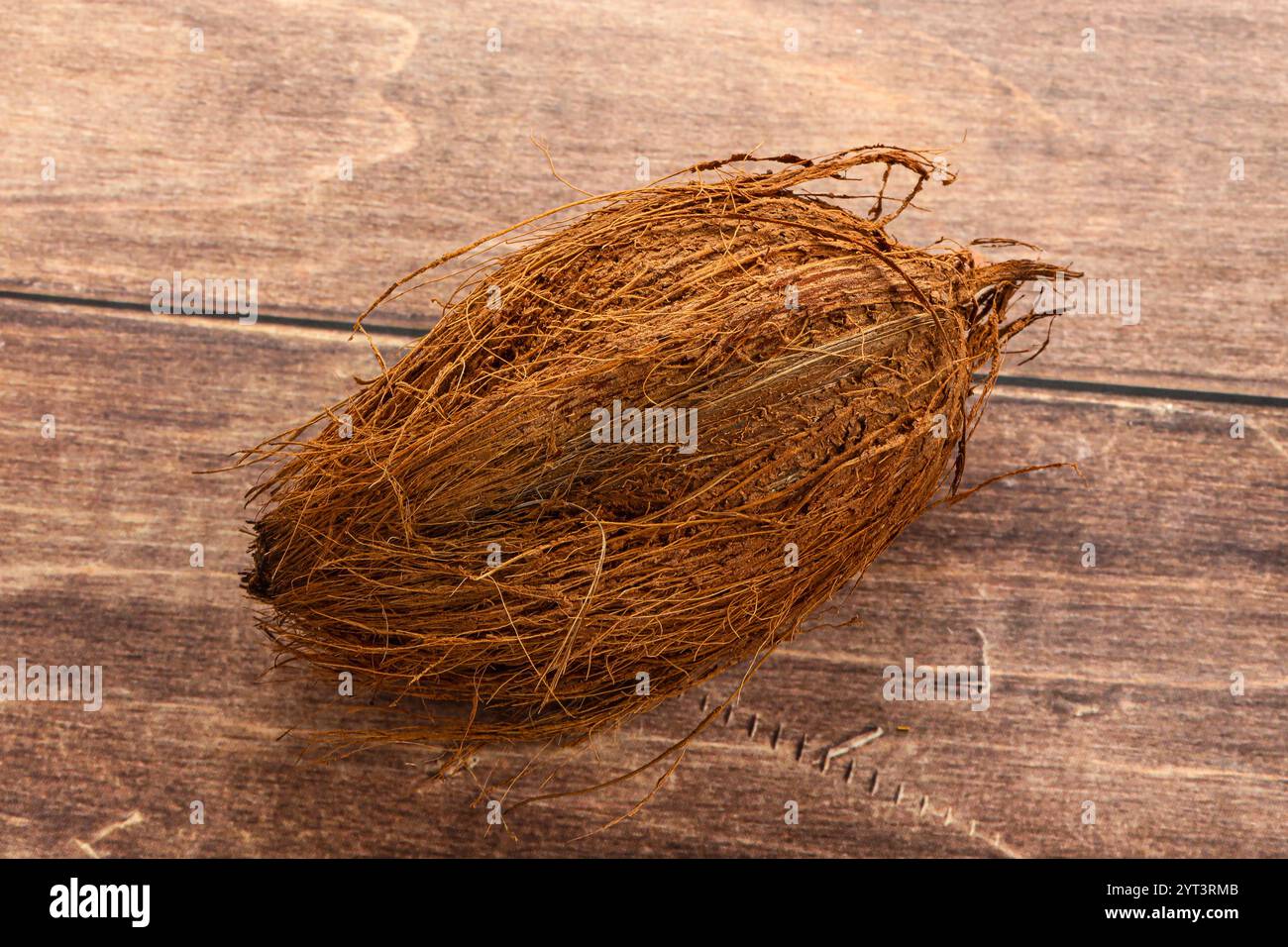 Natural exotic brown hairy coconut with shell Stock Photo - Alamy