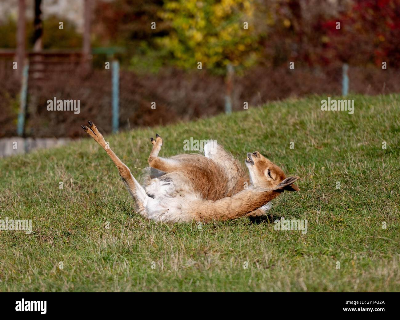 Serene enclosure hi-res stock photography and images - Alamy
