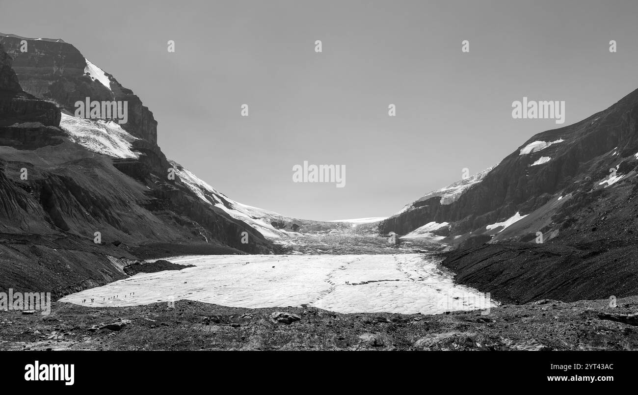 Black and white panorama of the Athabasca Glacier inside Banff and ...