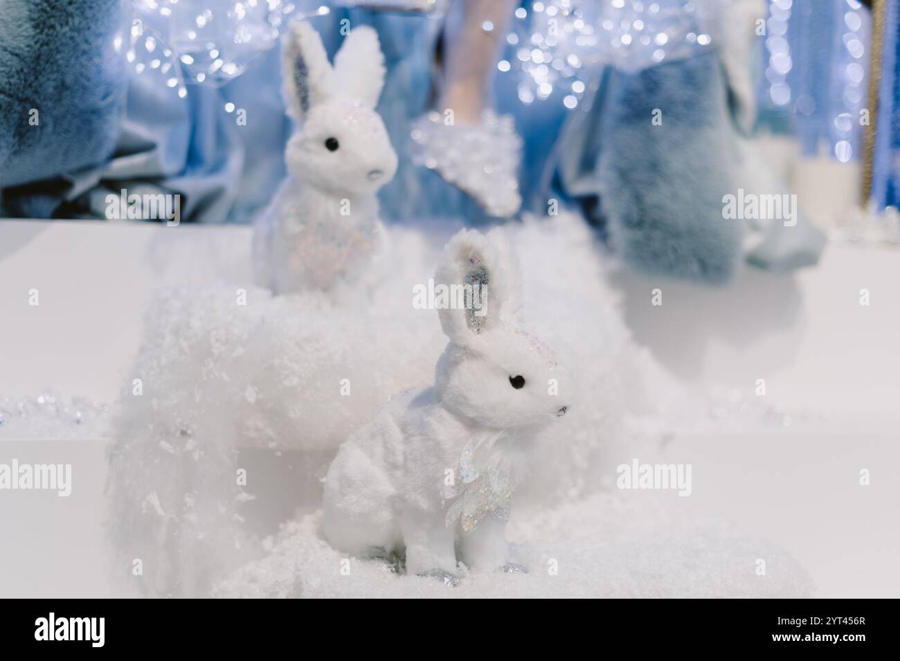 Two white rabbits are sitting on a snow pile. One of the rabbits is looking at the camera Stock ...