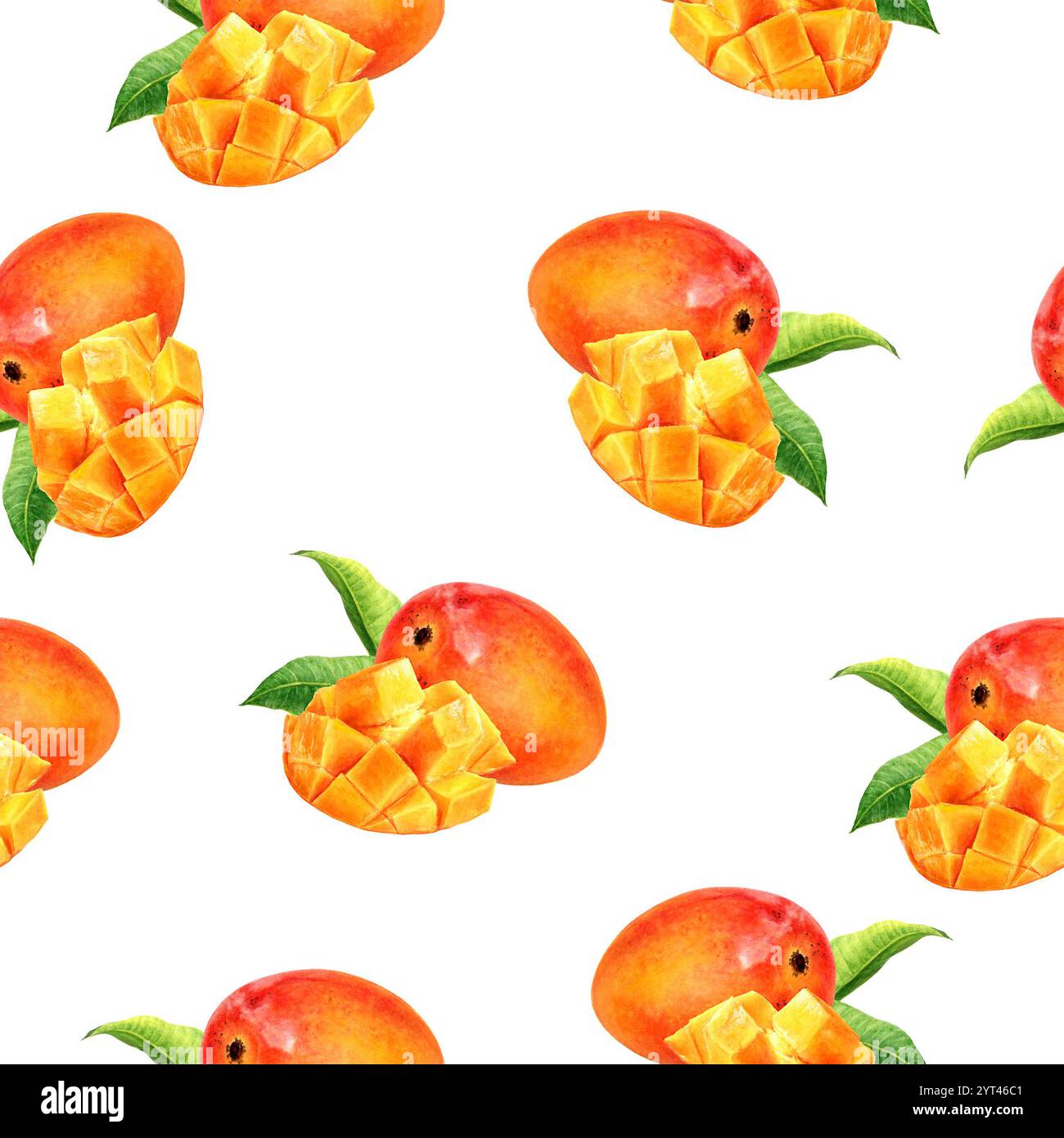 Hand-Painted Watercolor Mango Seamless Pattern isolated on white Stock ...