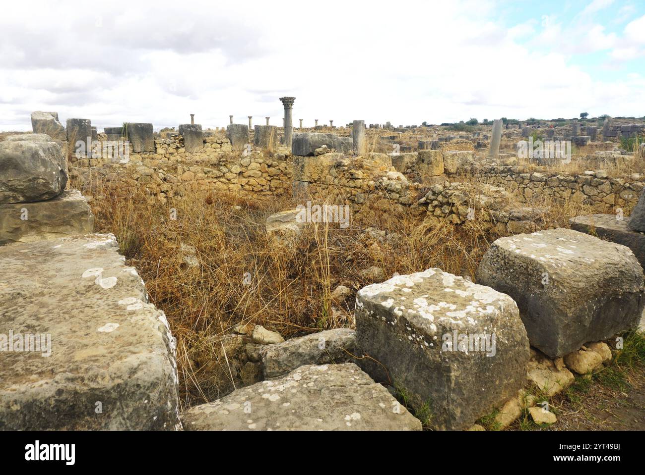 Ancient roman column overgrown hi-res stock photography and images - Alamy