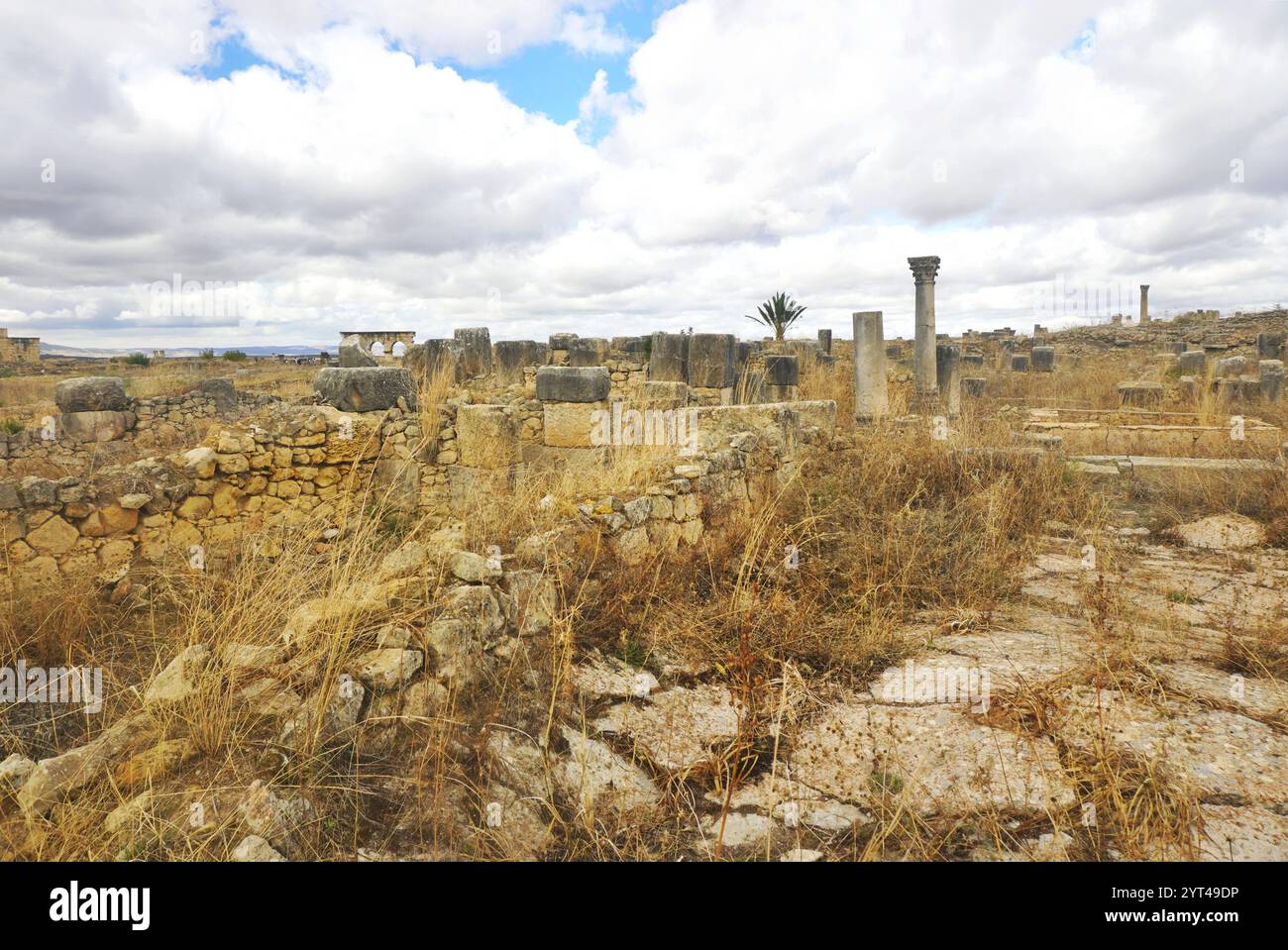 Ancient roman column overgrown hi-res stock photography and images - Alamy