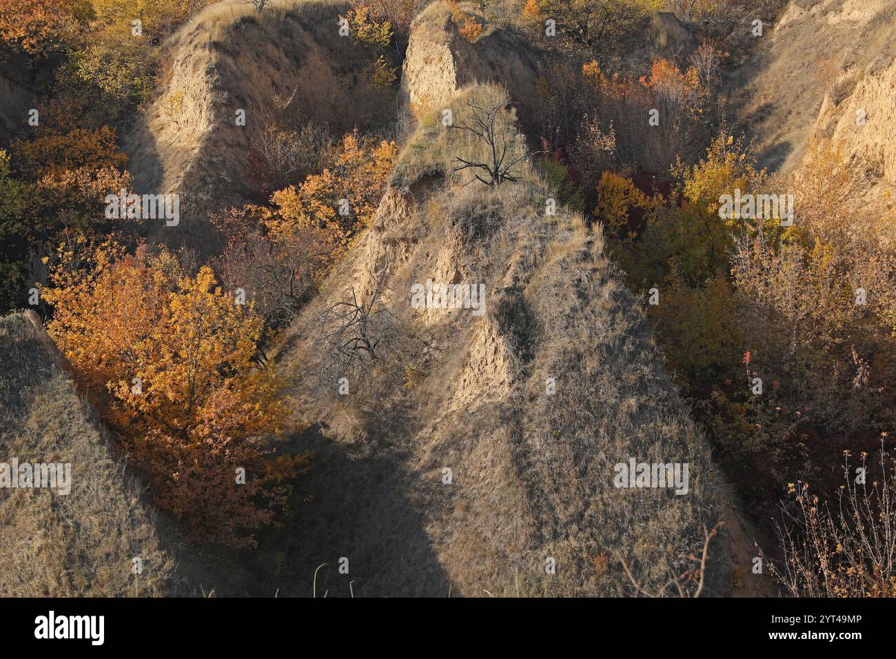 Autumn landscape with big ravine. Country life Stock Photo - Alamy