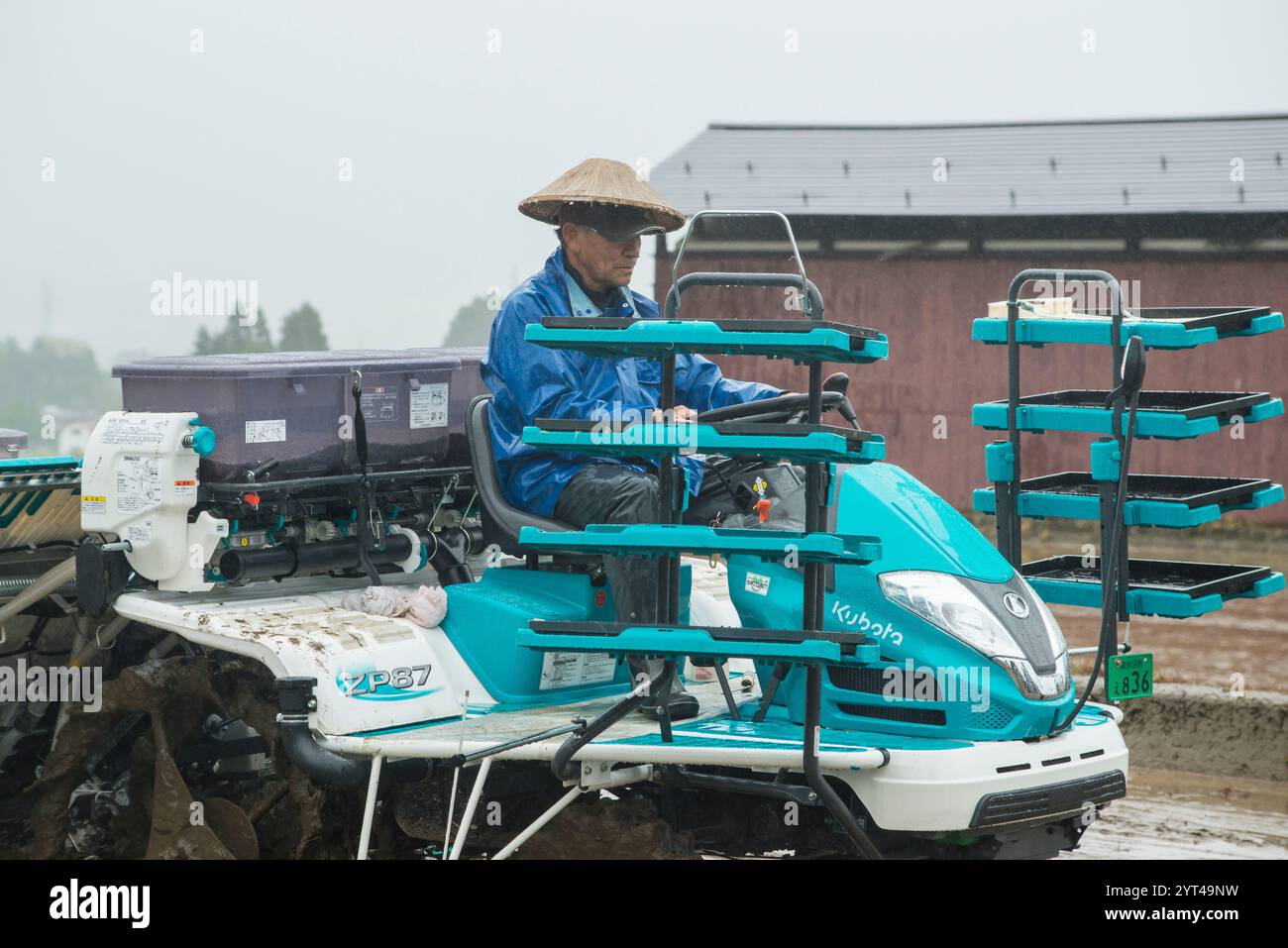 Rice planting by rice-planting machine Stock Photo - Alamy
