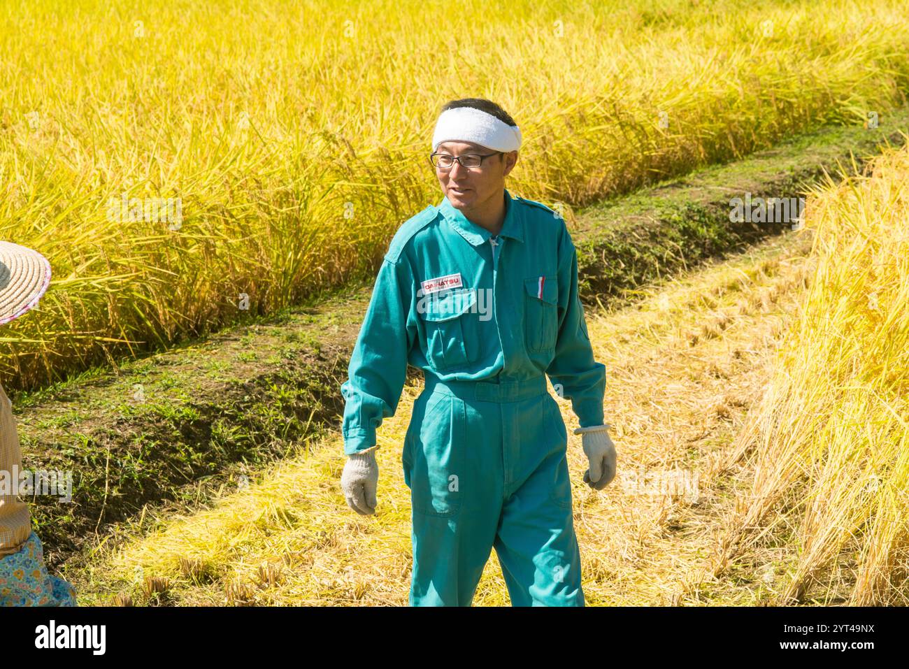 Middle aged harvesting hi-res stock photography and images - Alamy