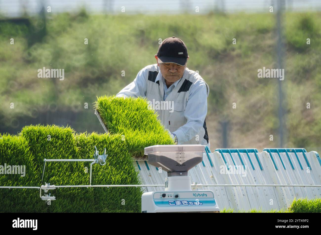Farmer with rice-planting machine Stock Photo - Alamy
