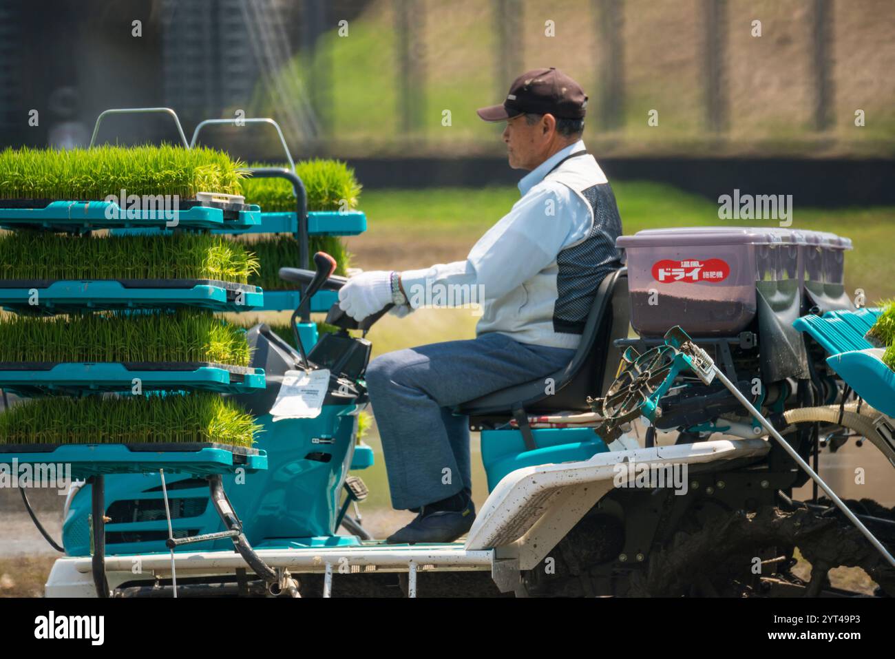 Rice-planting machine people Stock Photo - Alamy