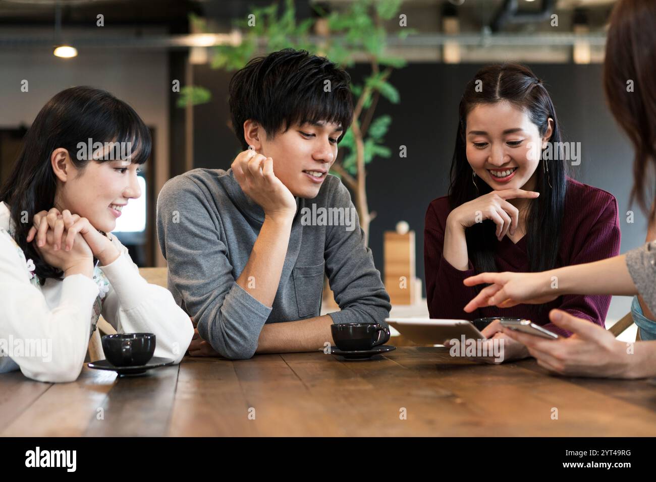 Group of men and women chatting in a café Stock Photo - Alamy