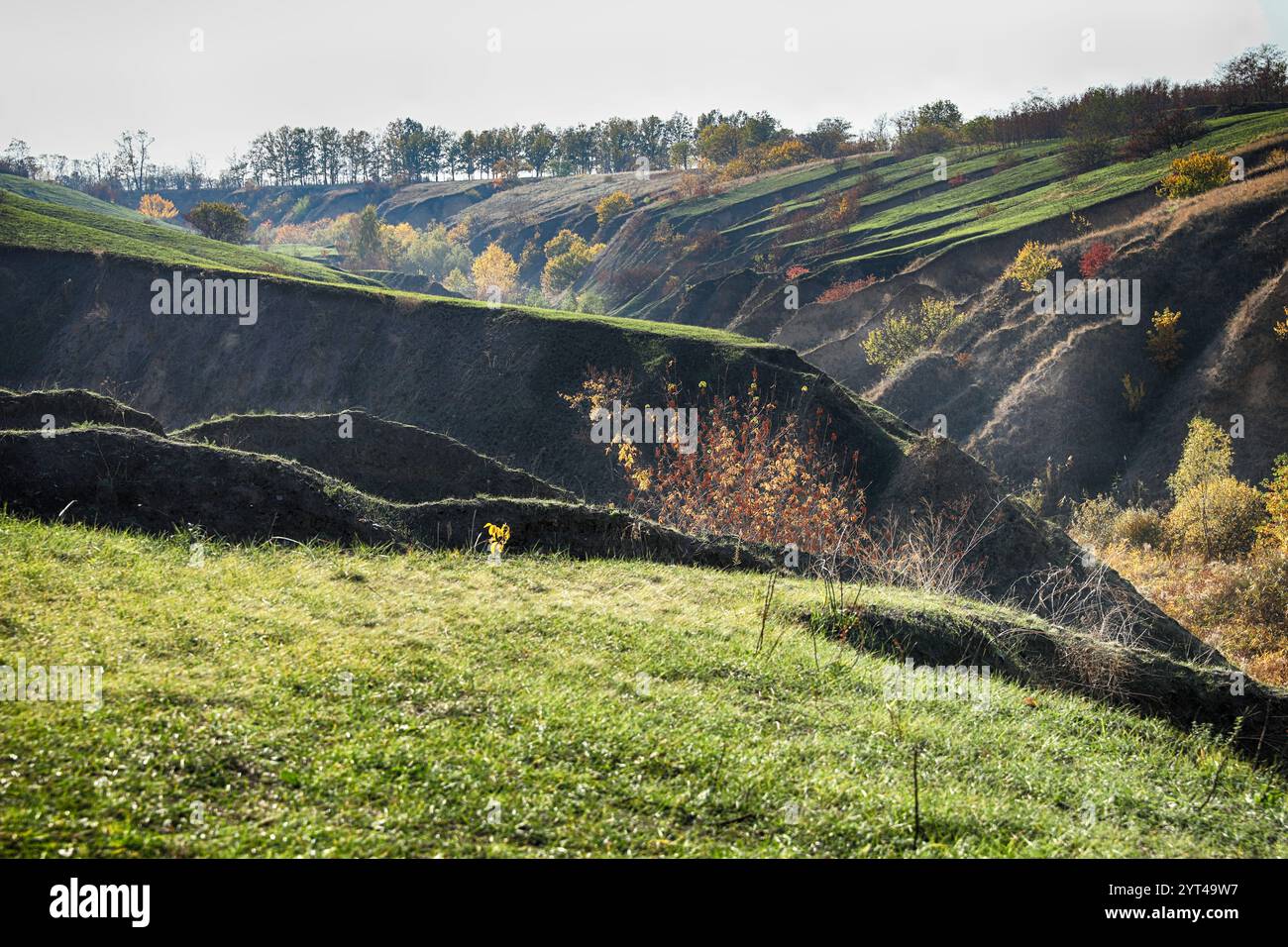 Big ravine hi-res stock photography and images - Alamy