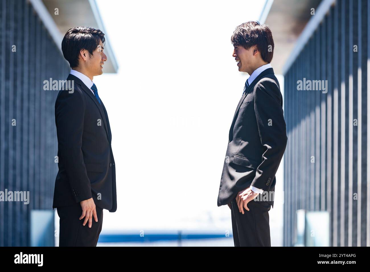 Businessmen facing each other Stock Photo - Alamy