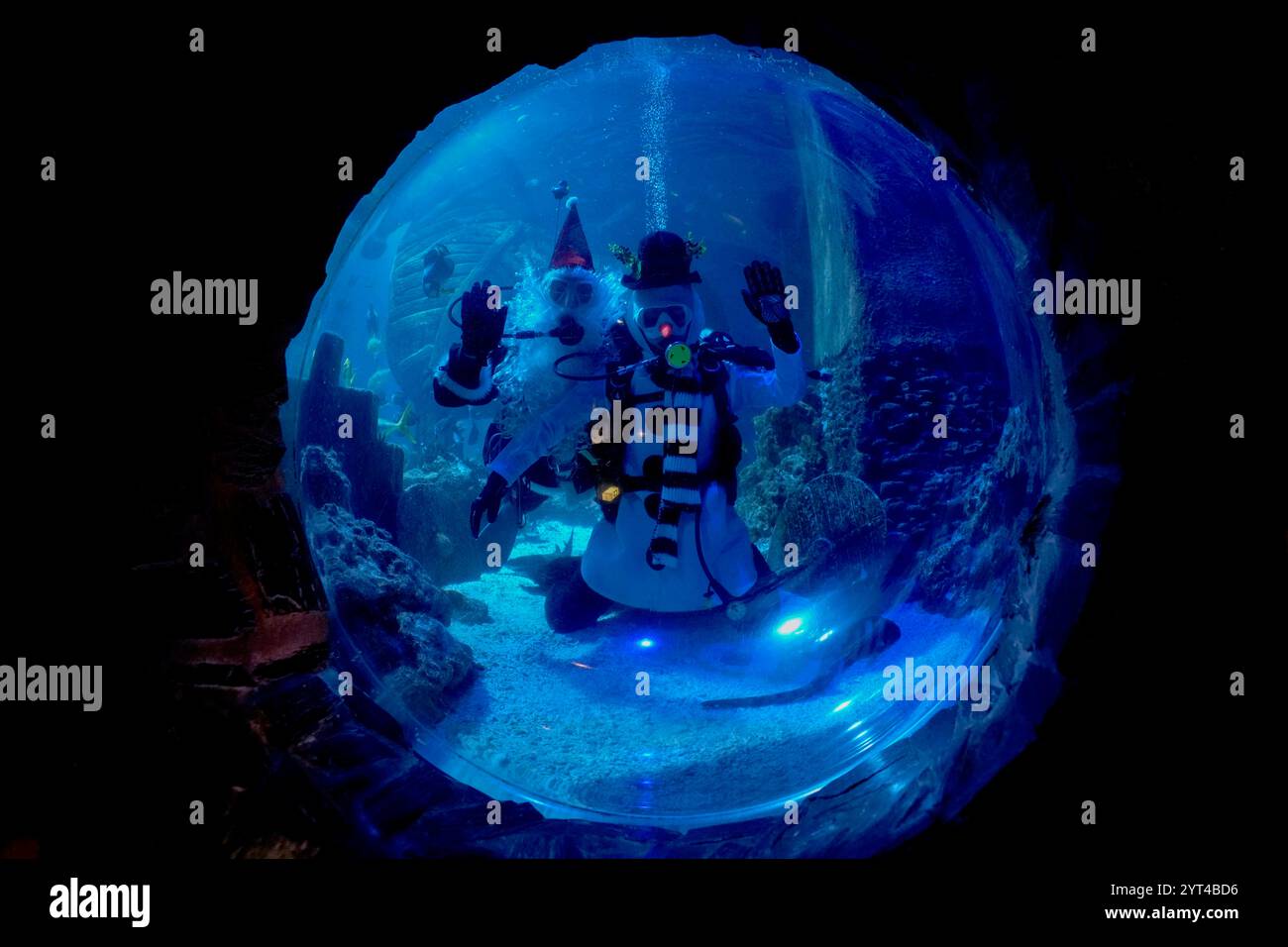 People dressed as Santa Claus and snowman dive through a tank in the ...