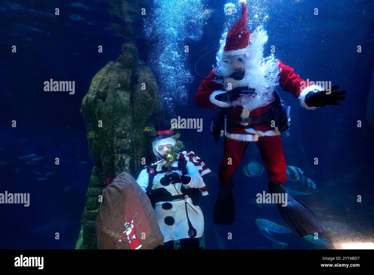 People dressed as Santa Claus and snowman dive through a tank in the ...