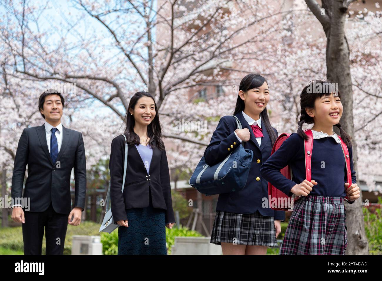 Family standing under rows of cherry trees Stock Photo - Alamy
