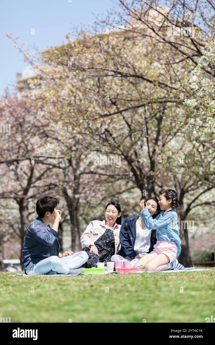 Family viewing cherry blossoms Stock Photo - Alamy