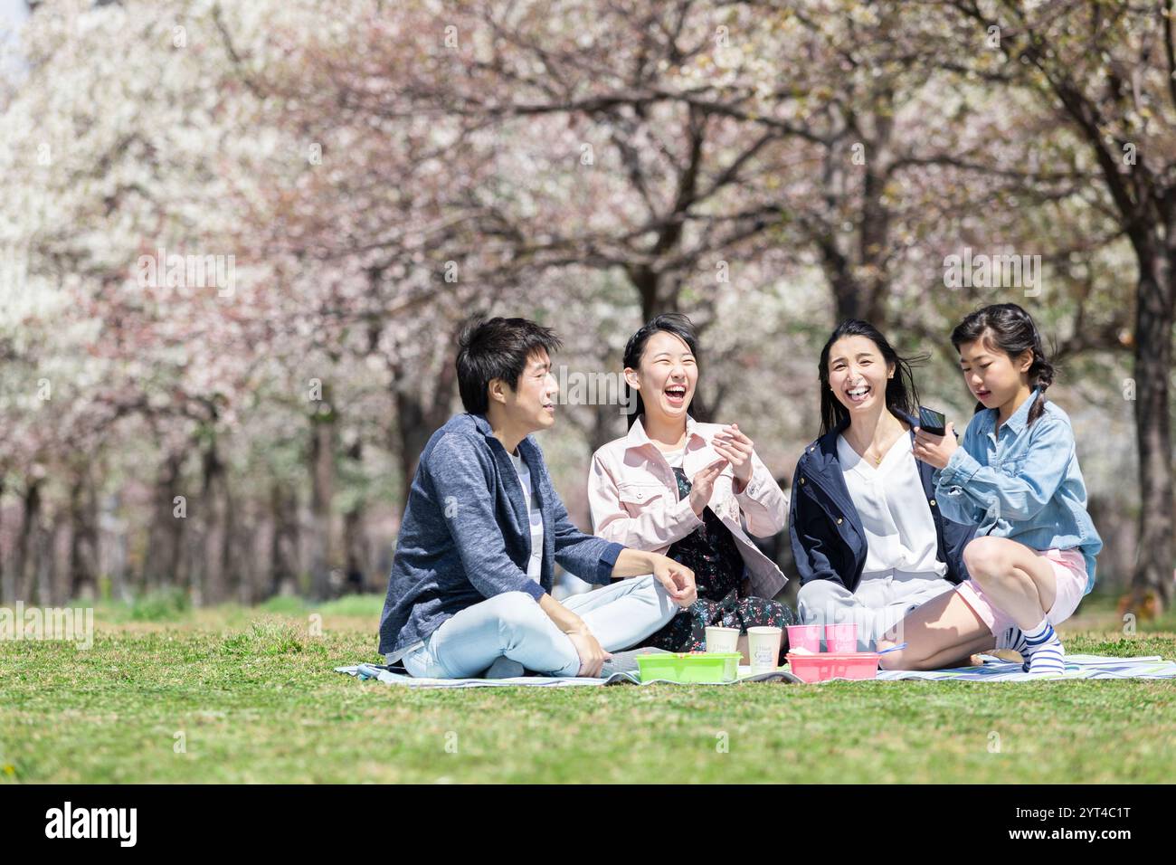 Family viewing cherry blossoms Stock Photo - Alamy