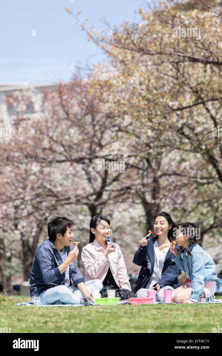 Family viewing cherry blossoms Stock Photo - Alamy