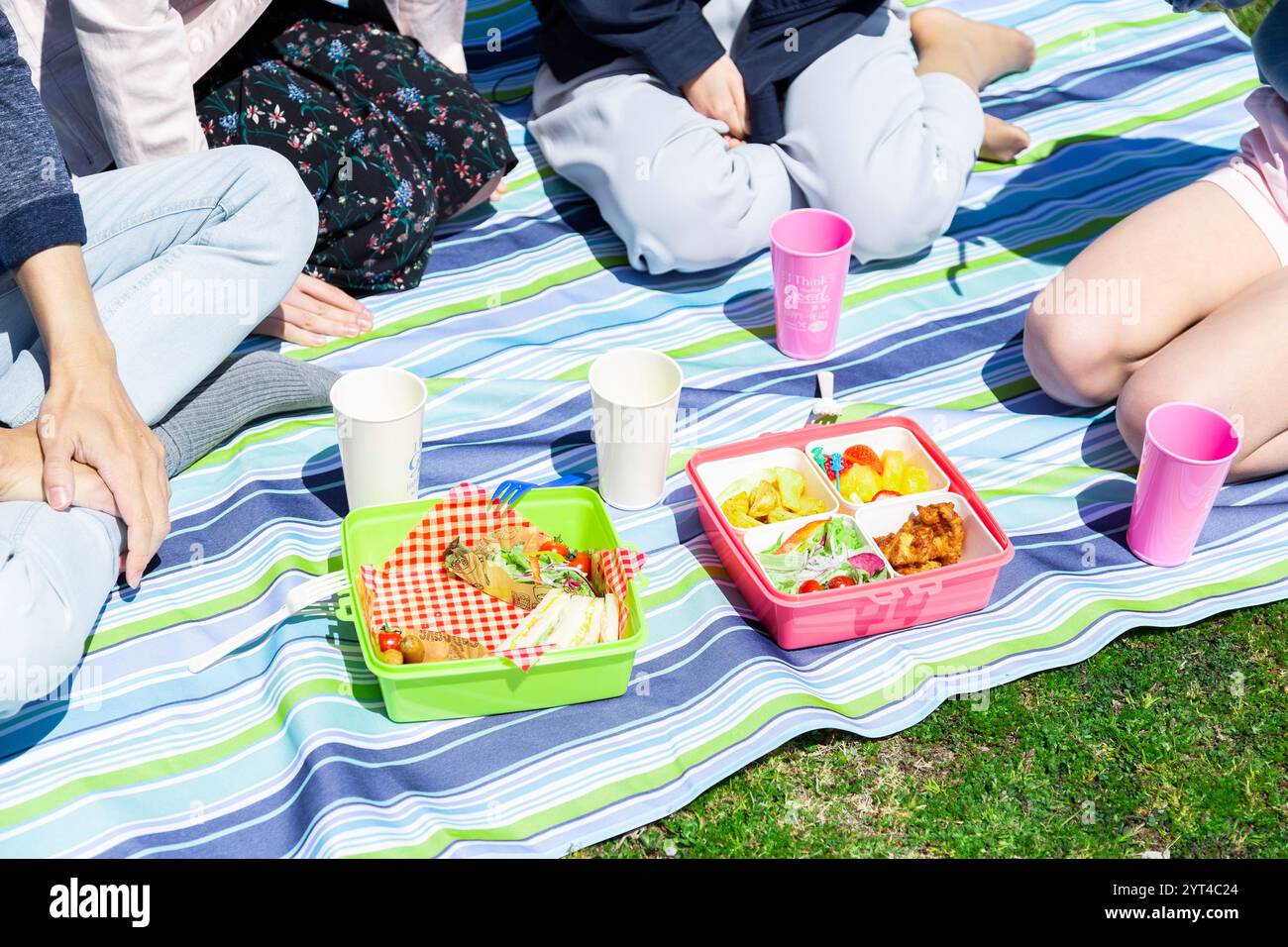 Family having a picnic Stock Photo - Alamy