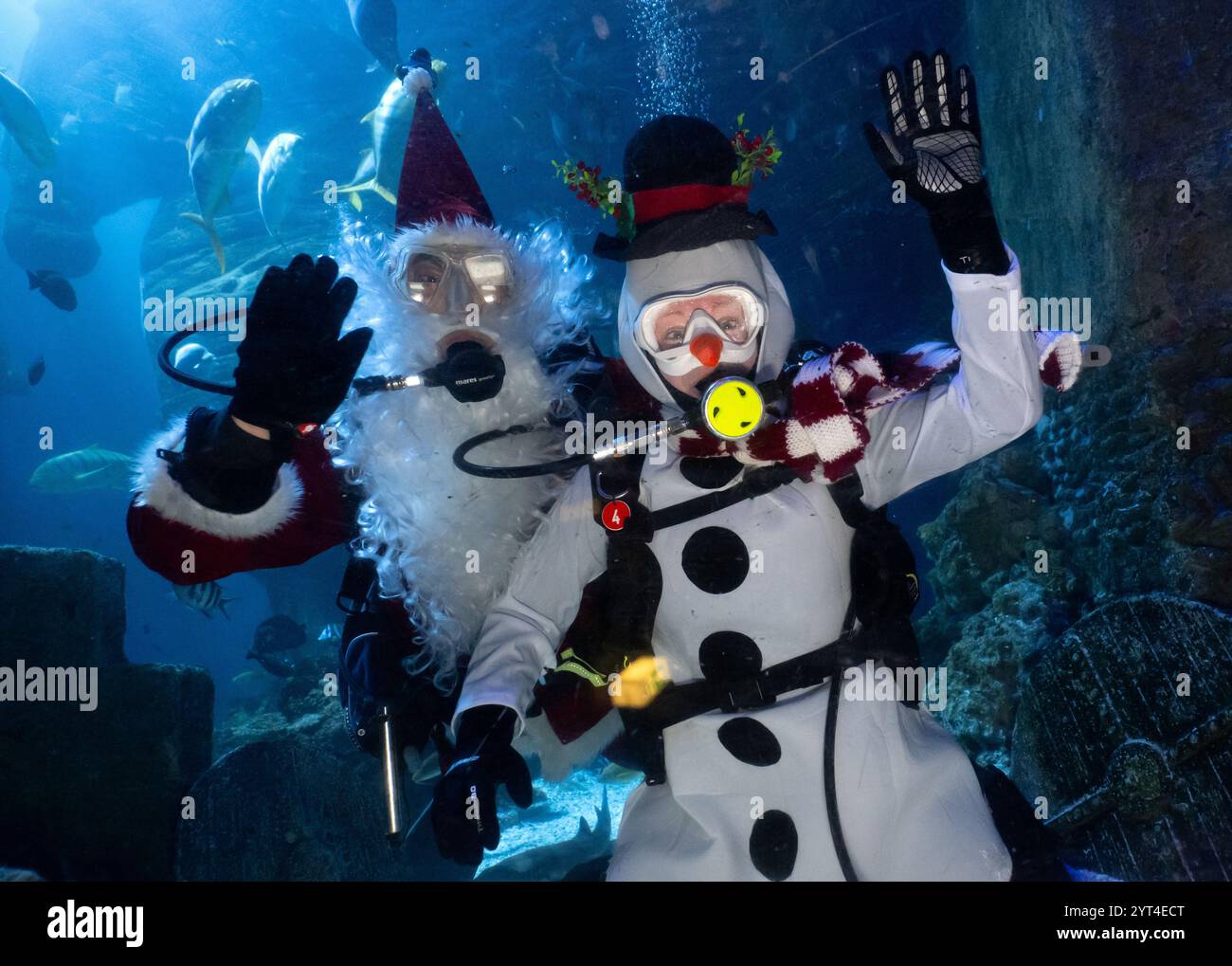 06 December 2024, Bavaria, Munich: Two divers dressed up as Santa Claus ...