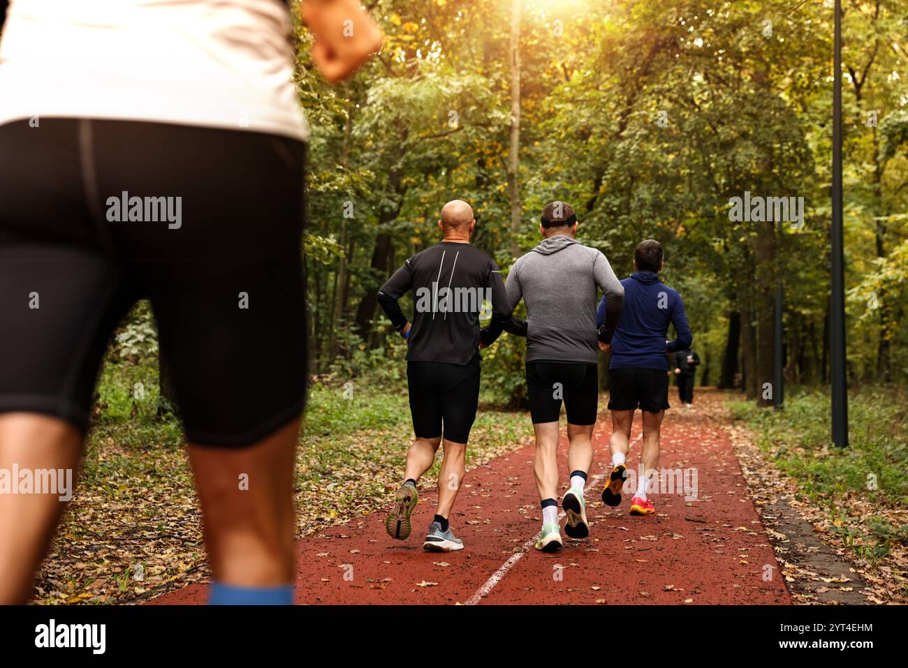 Group of people jogging together in park, back view Stock Photo - Alamy
