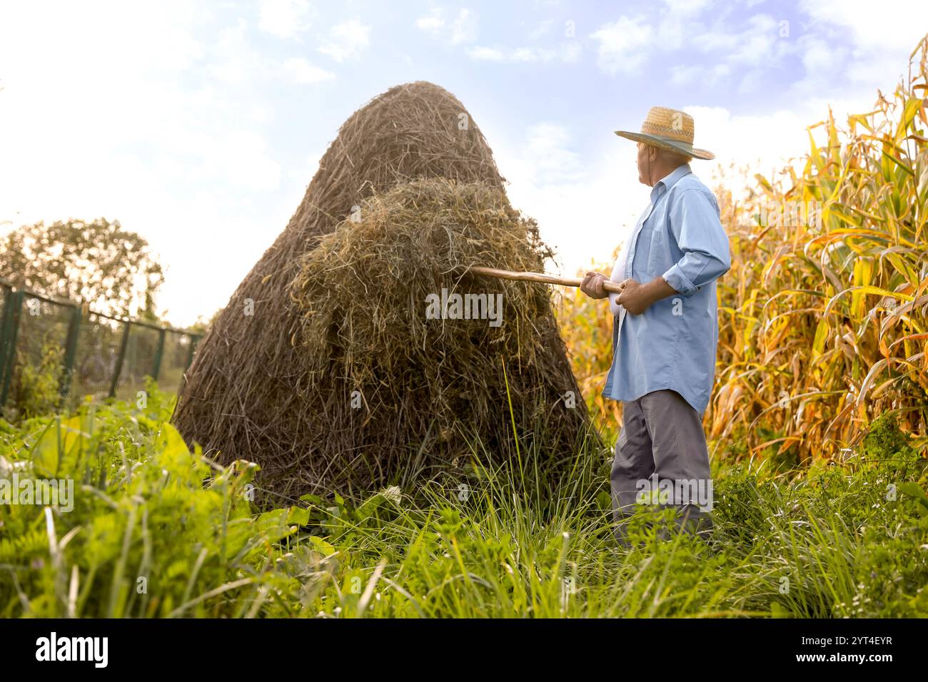 Pitching hay hi-res stock photography and images - Alamy