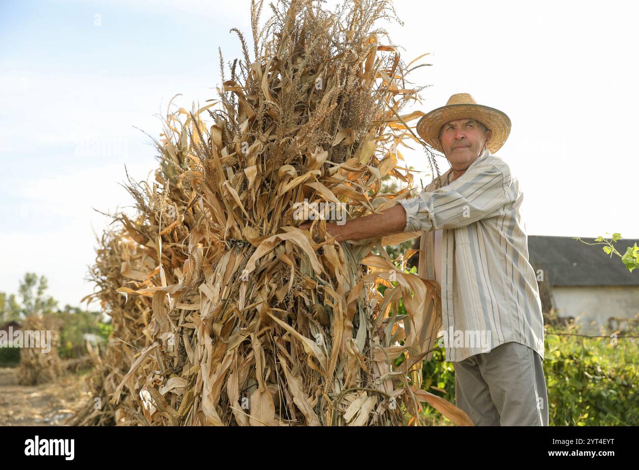 Pile of hay hi-res stock photography and images - Alamy