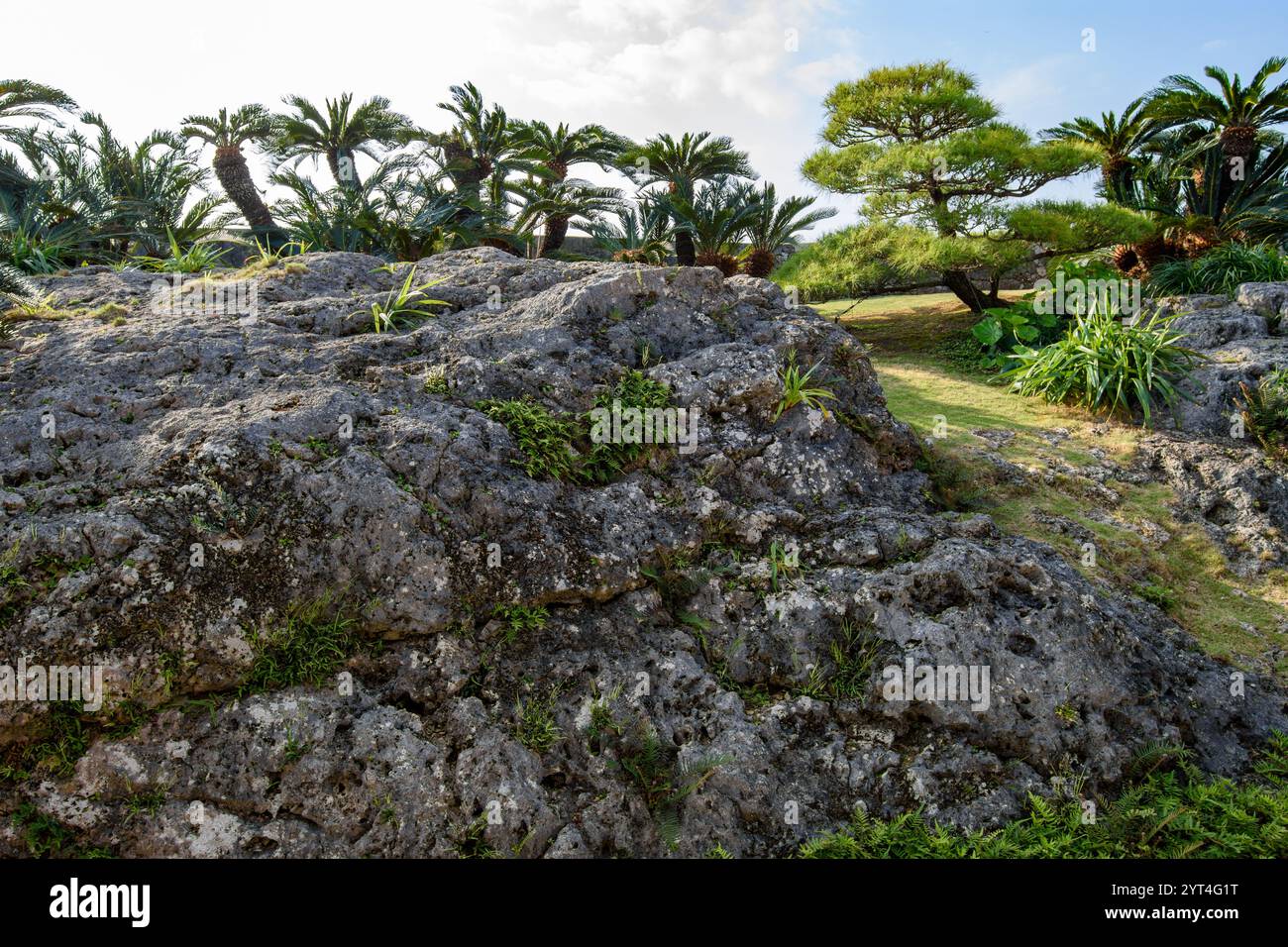 Walls of Shurijo castle, former capital of Ryukyu Kingdom and World Heritage Site in Naha ...